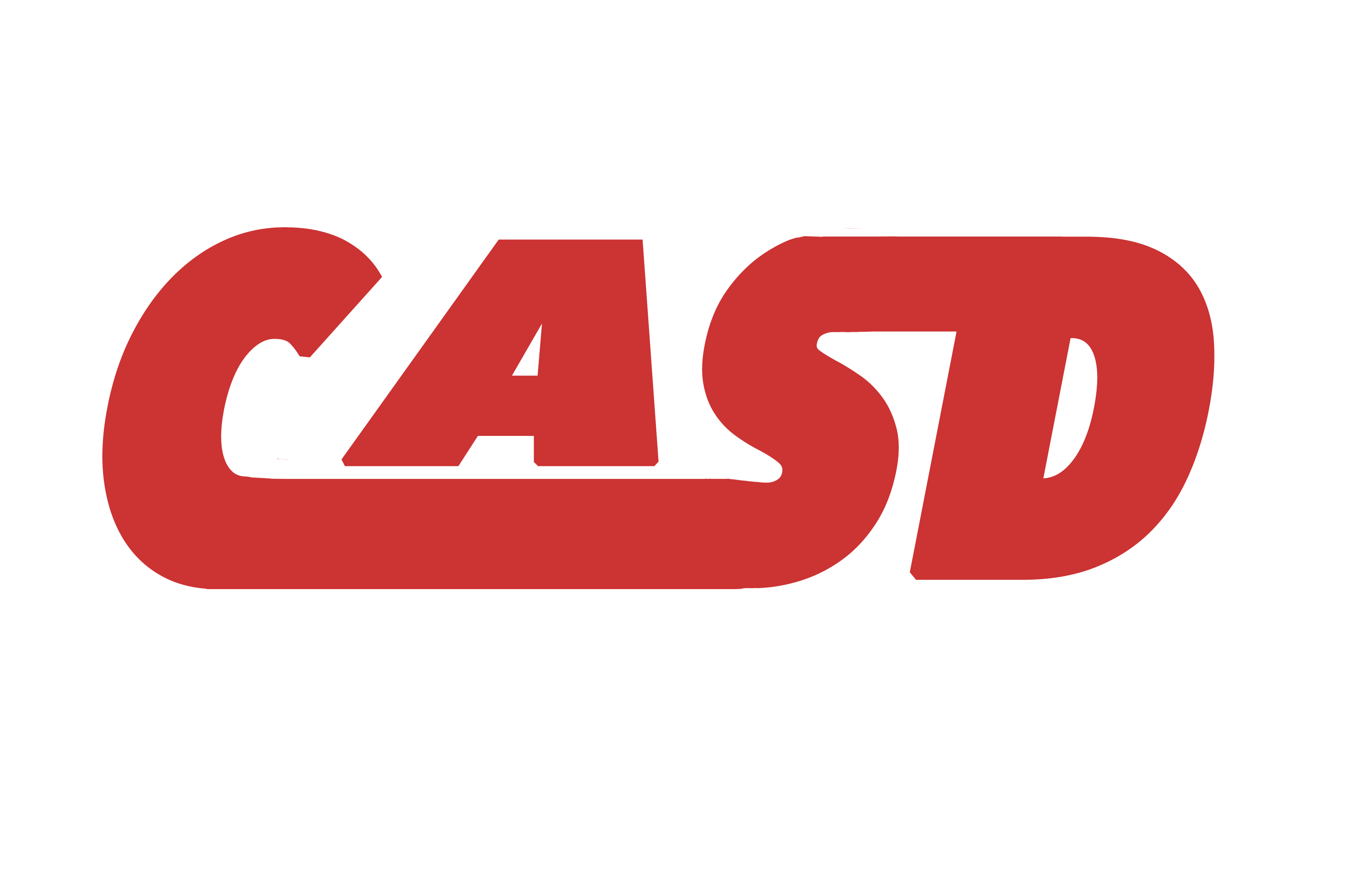 CASD - Consulting and Sales Development